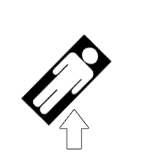 Anatomy Standard - Drawing Infratemporal fossa: lateroinferior view ...