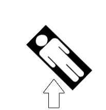 Anatomy Standard - Drawing Pterygopalatine fossa: inferolateral view ...